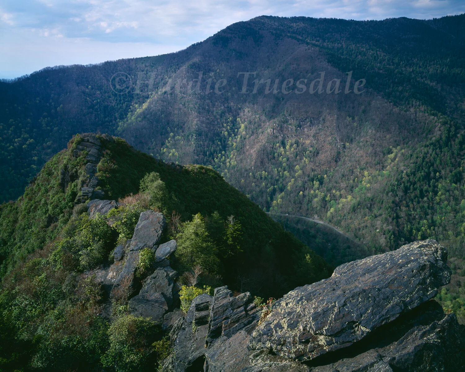 Southeast — Hardie Truesdale