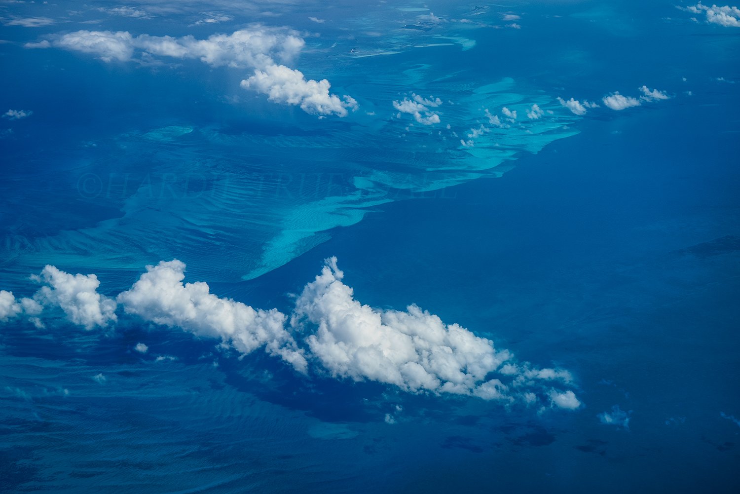 Southeast — Hardie Truesdale