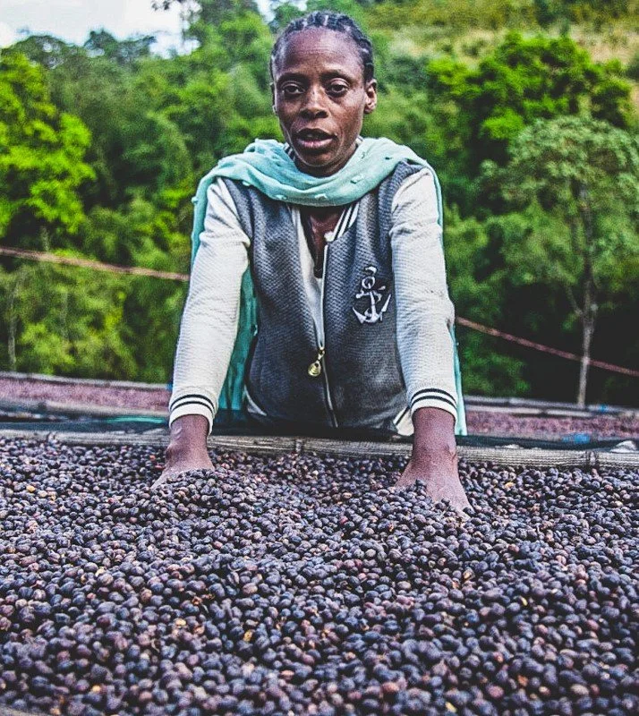 Ethiopia Hamasho Natural — Calvin Fletcher's Coffee Company