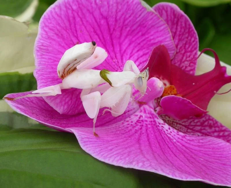 Members — aha! Manhattan