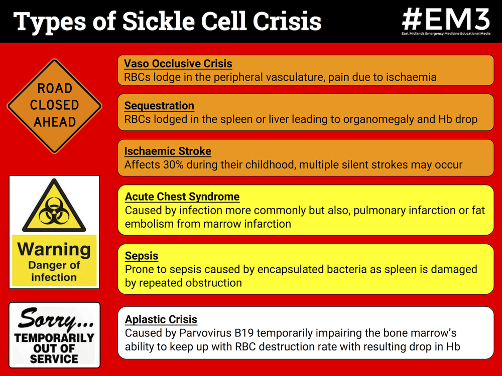 #SimBlog: Sickle Cell Crisis — EM3