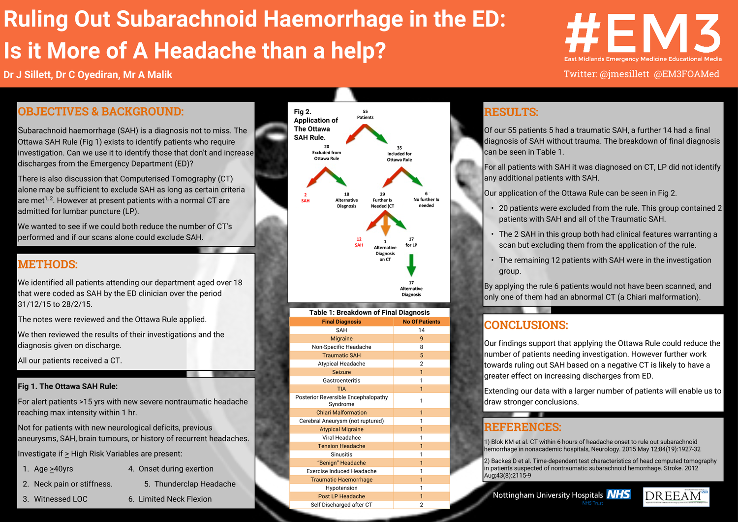 Posters & Infographics — EM3