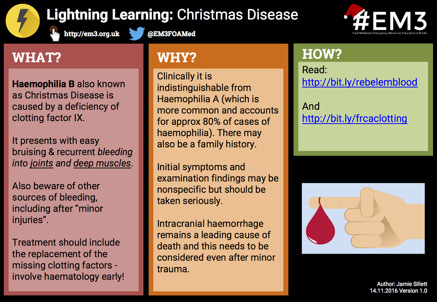 Lightning Learning: Christmas Disease — EM3