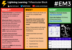 Lightning Learning: Trifascicular Block — EM3