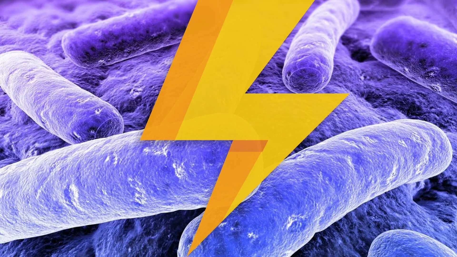 Lightning Learning: ROSIER Score — EM3