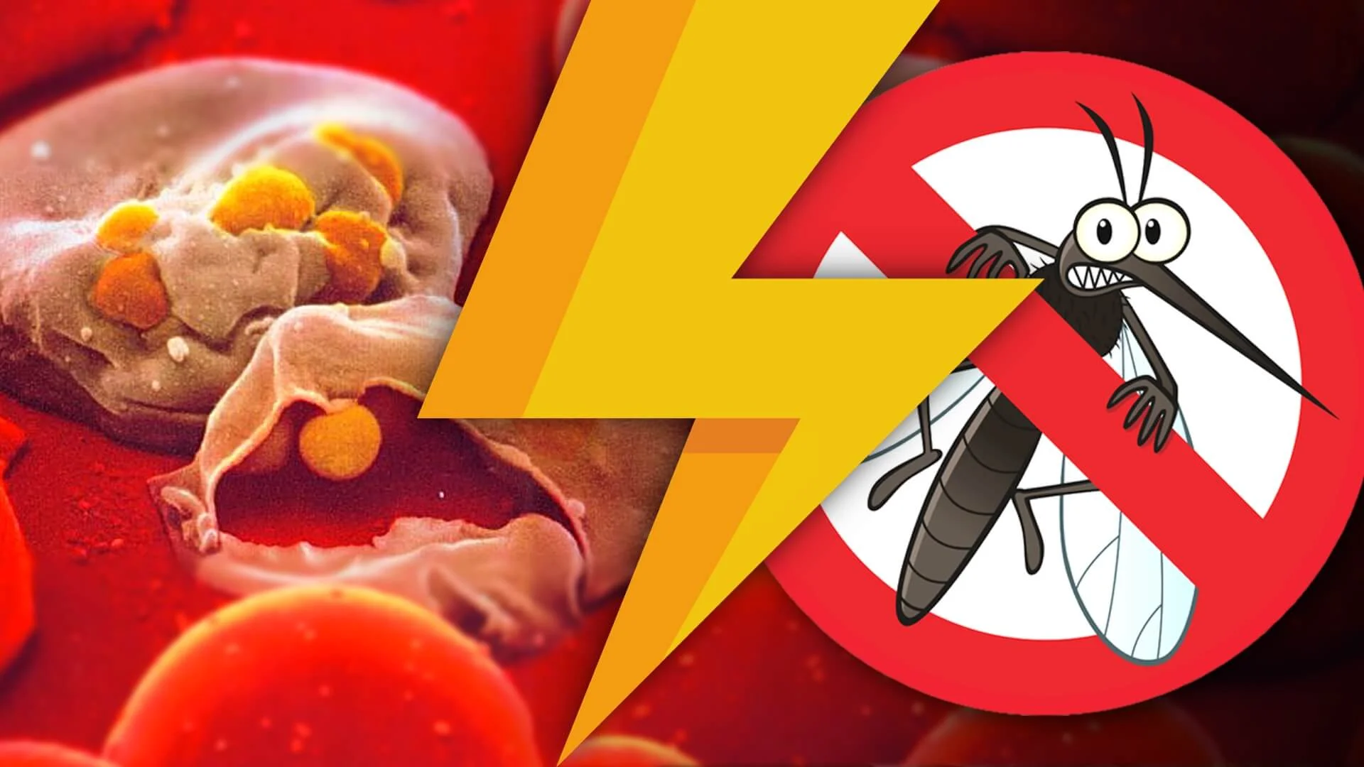 Lighting Learning: Malaria — #EM3