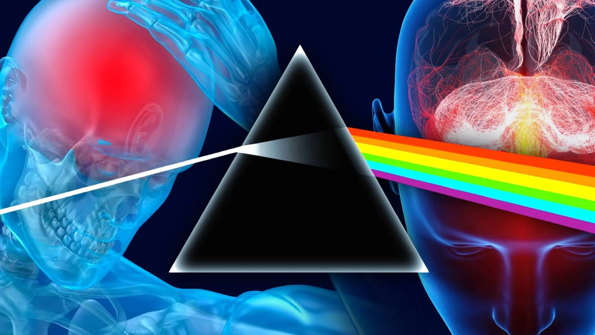 The Spectrum of Head Injuries — EM3