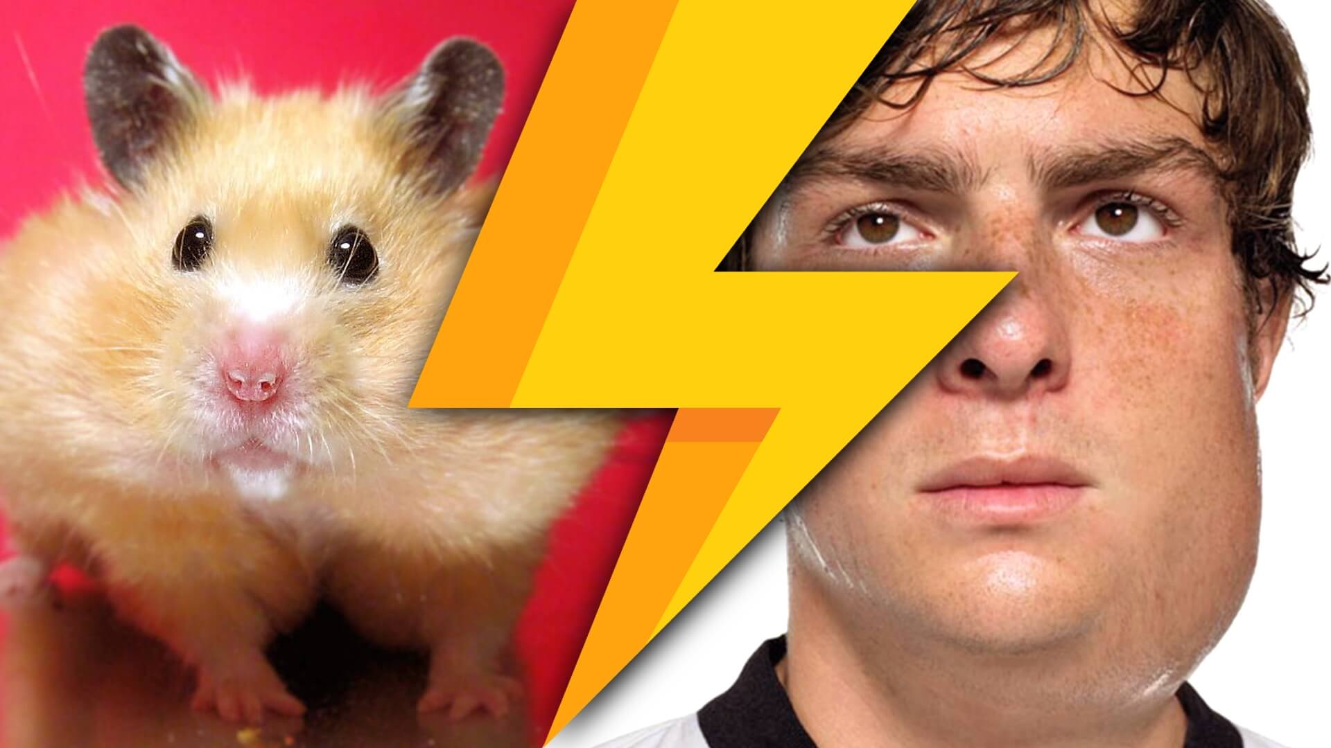 PAP18: Rashes in Children — EM3