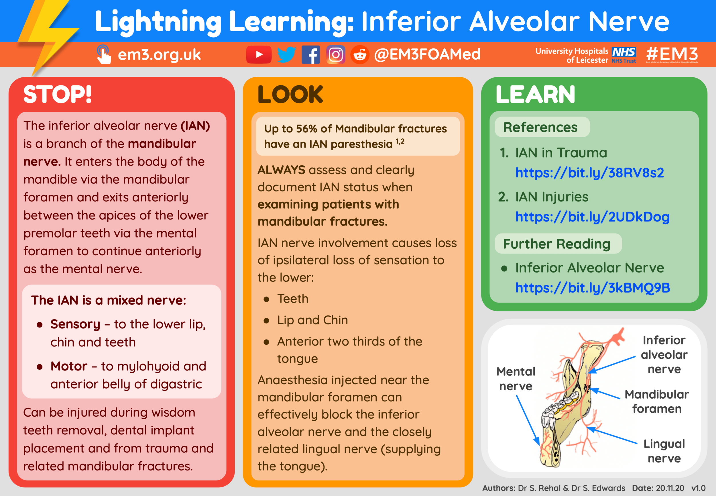 Lightning Learning: Inferior Alveolar Nerve — EM3