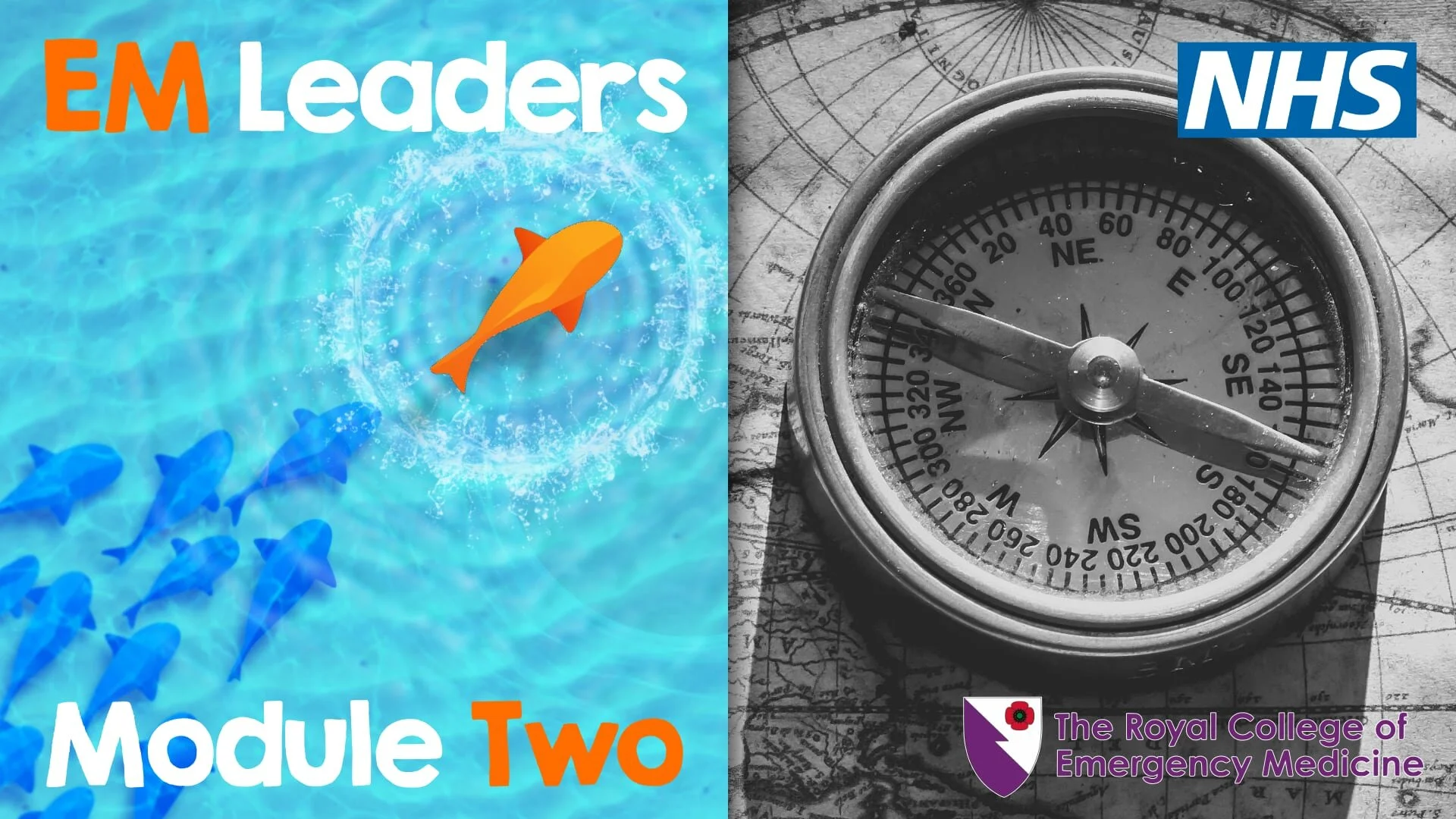 EM Leaders: Leading Self — EM3