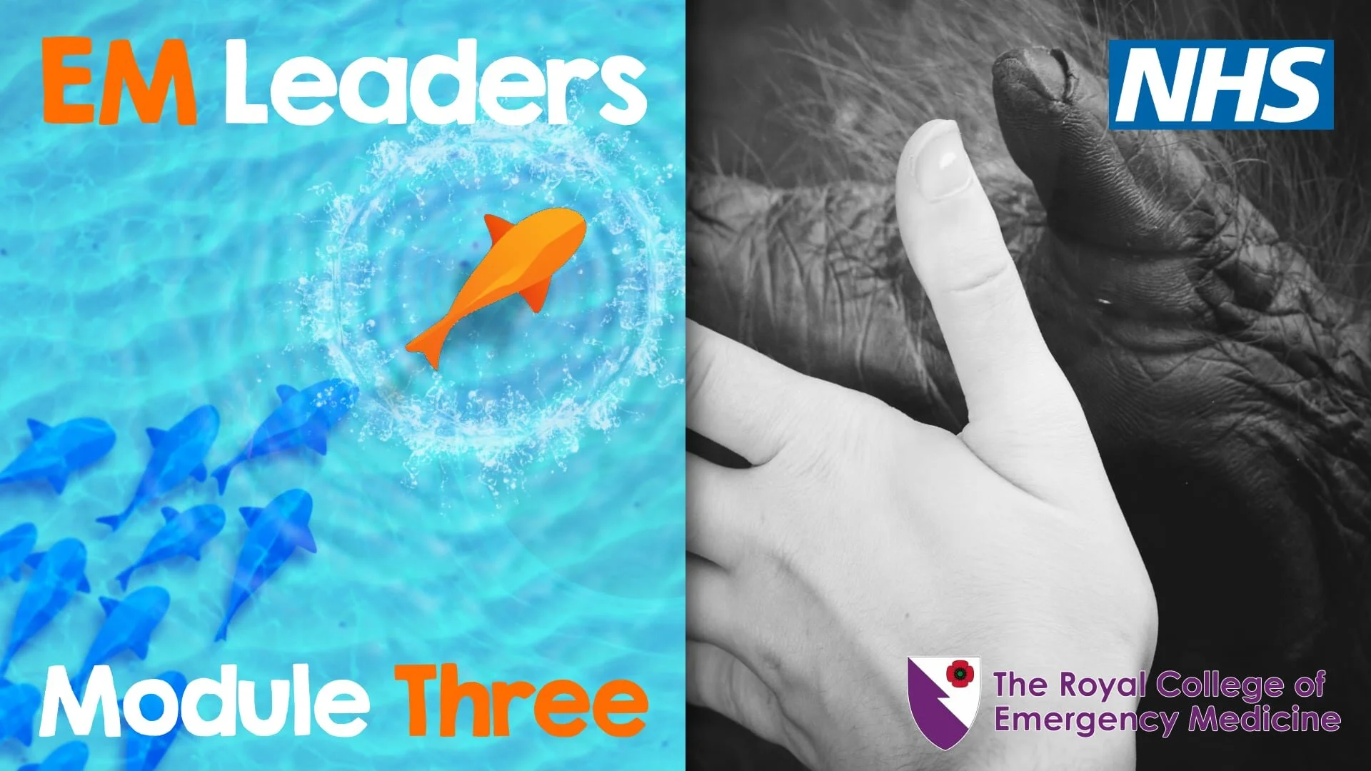 EM Leaders: Leading Self — #EM3: East Midlands Emergency Medicine ...