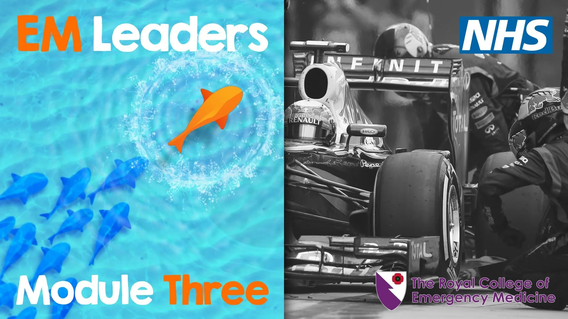 EM Leaders: Building Better Teams — EM3