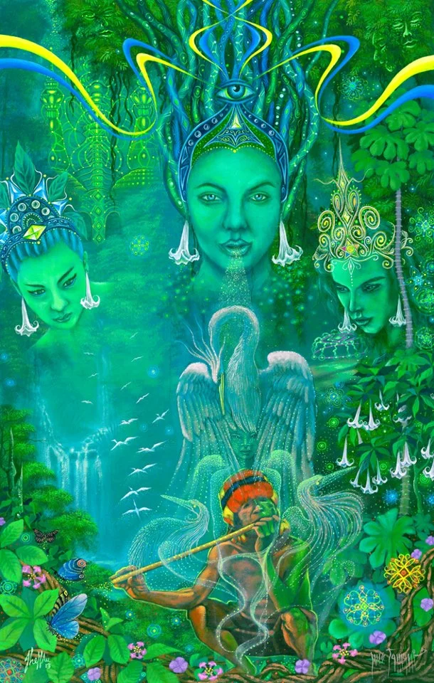 ¿Qué es la Ayahuasca? Ayahuasca y Chacruna — Ayahuasca Medicina