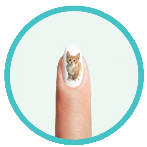 Custom Nail Decals - Nailvy
