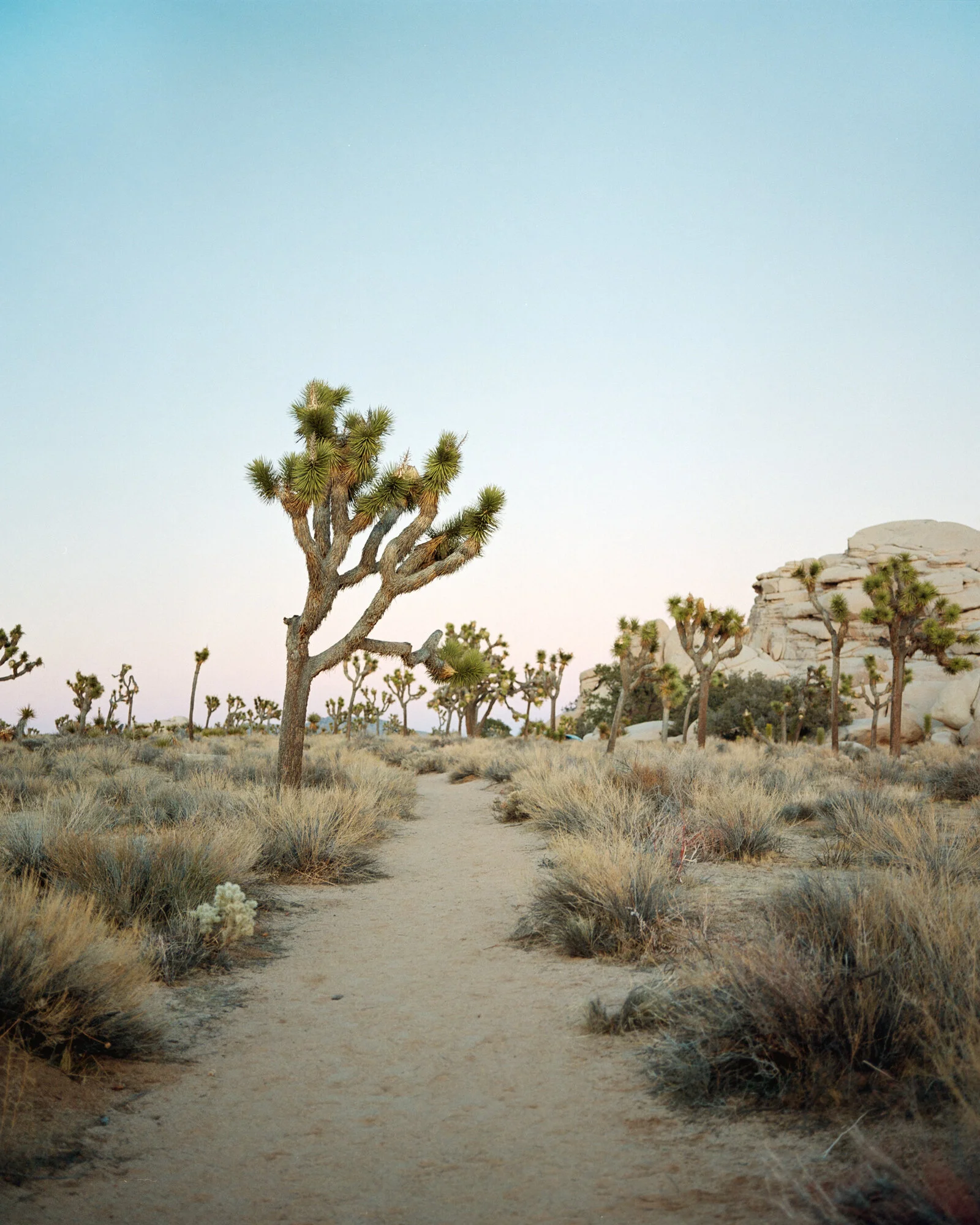 Desert Light — albert genato photography