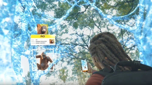 Internet of elephants