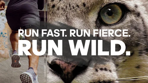 Internet of elephants