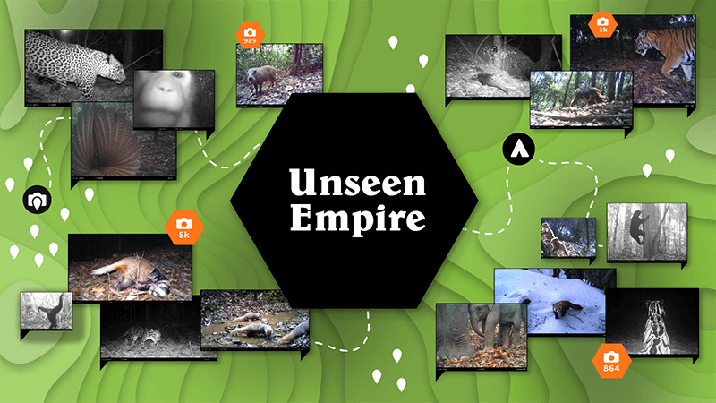 Internet of elephants