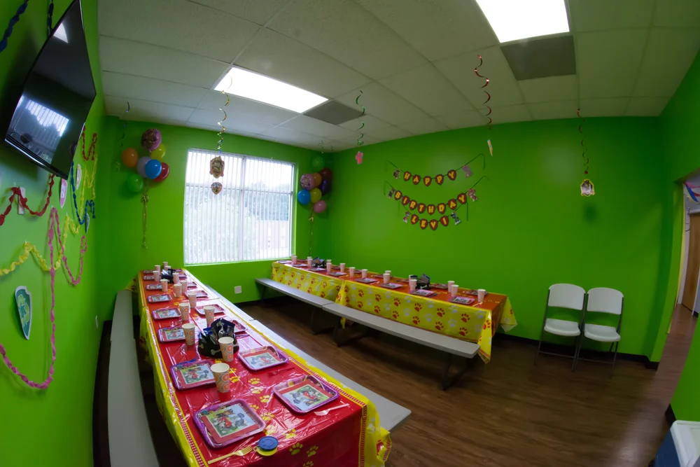 Birthday Parties — Escalade Rock Climbing