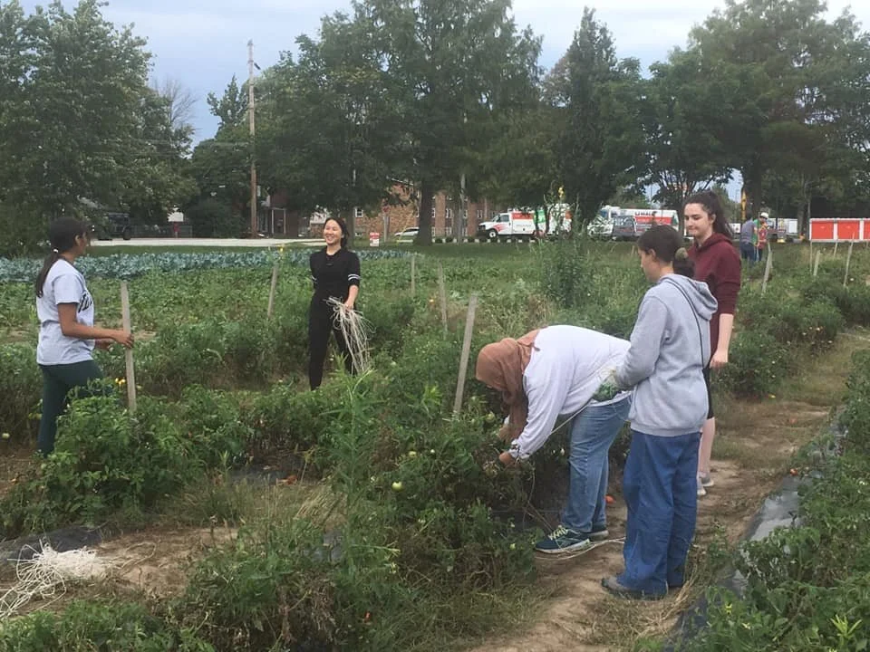 Volunteer — Sola Gratia Farm