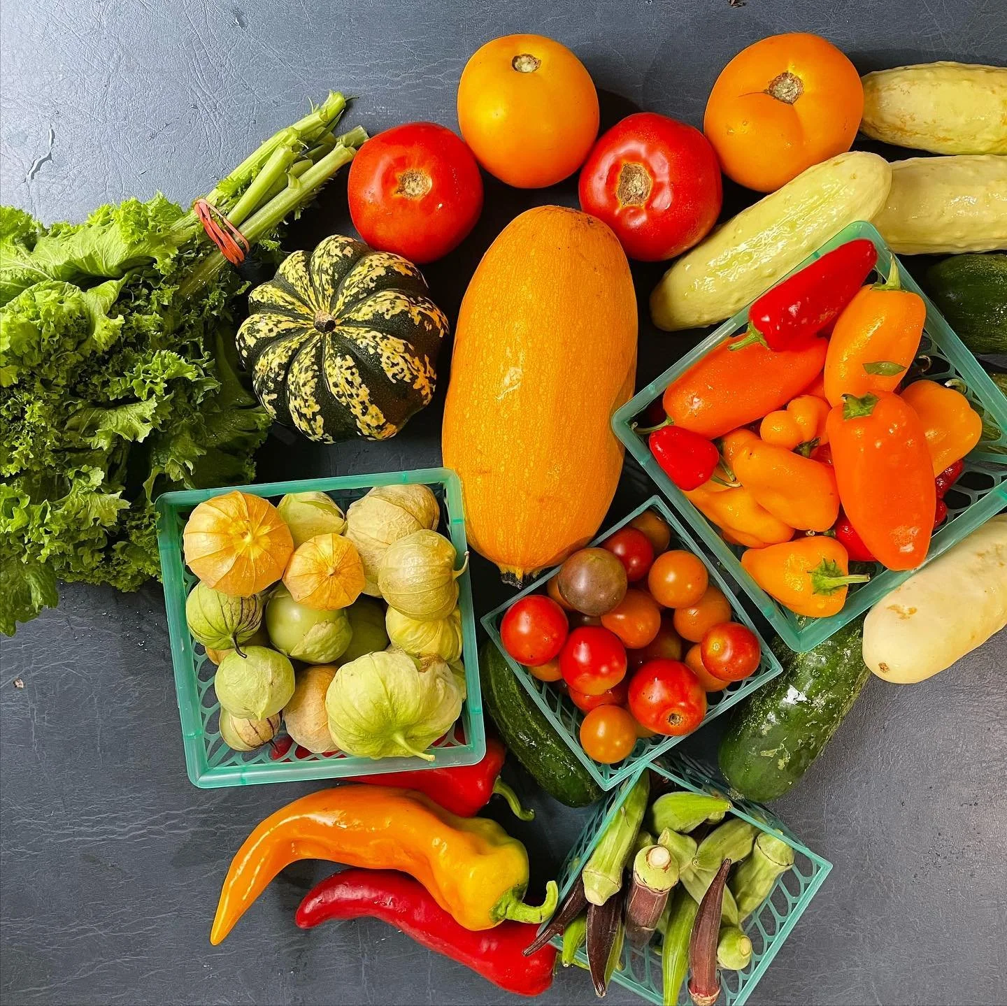Our CSA — Sola Gratia Farm