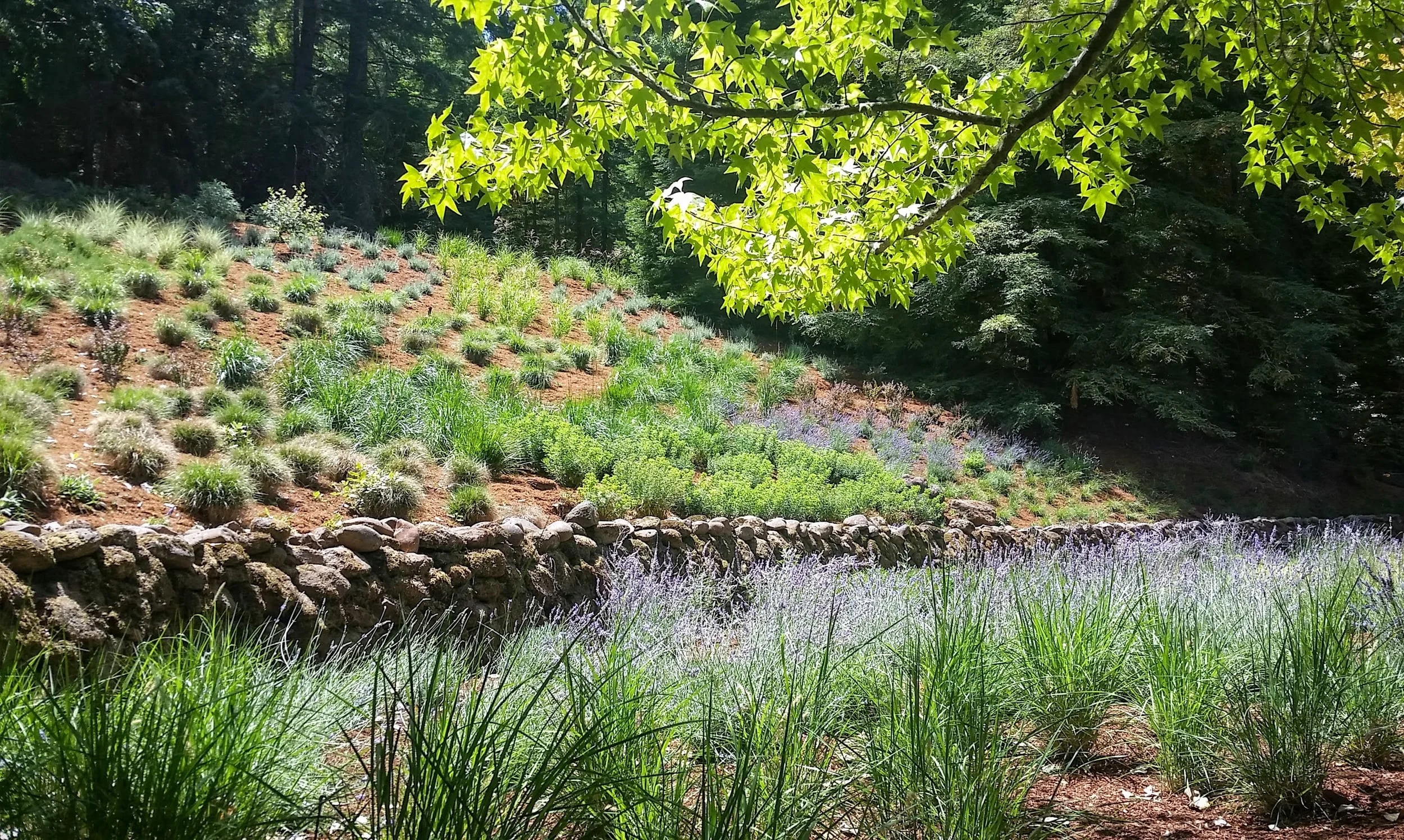 Cleaver Design Associates