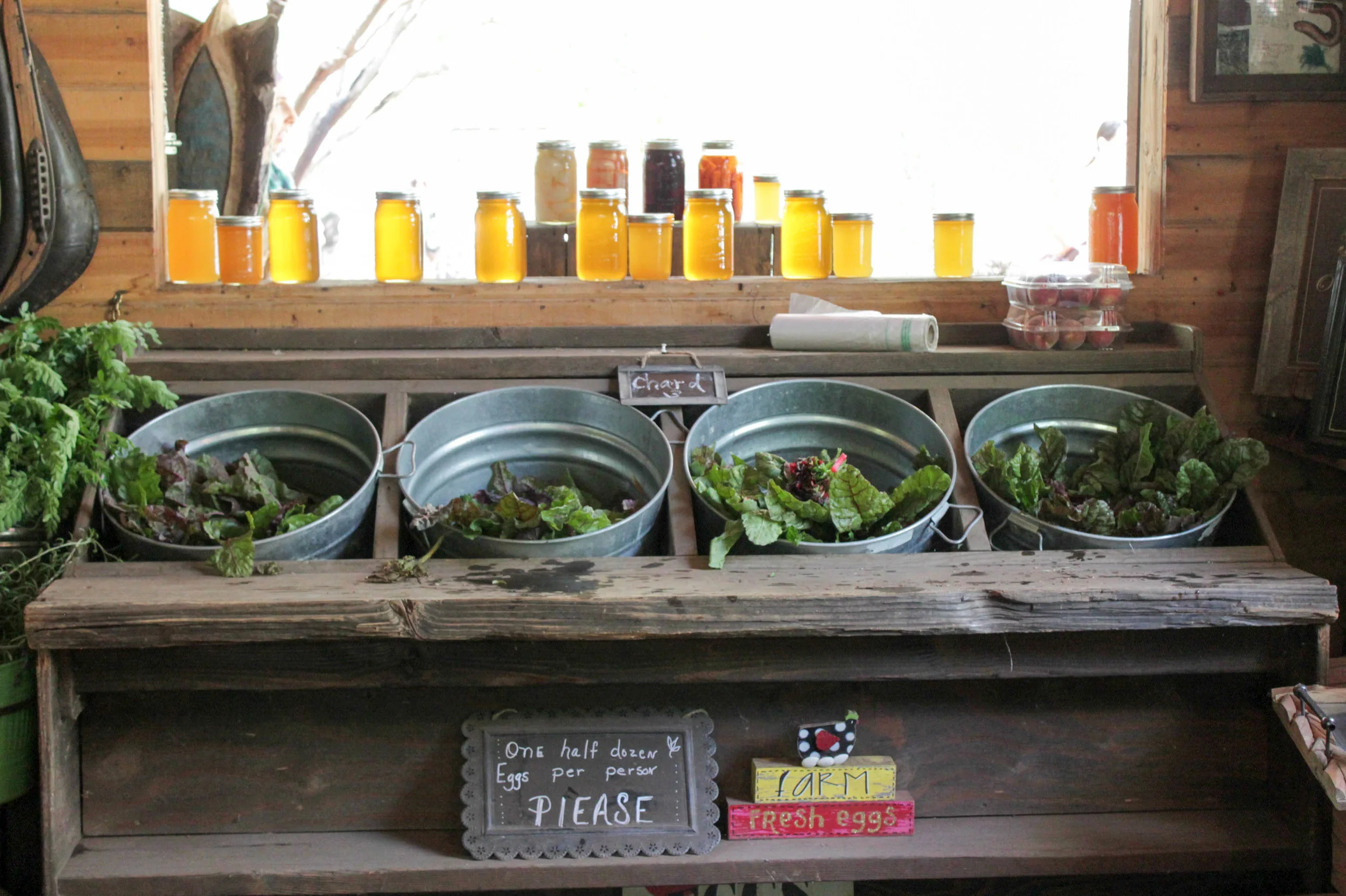 Secret Gardens at Singh Farms — STEPHANIE ECHE