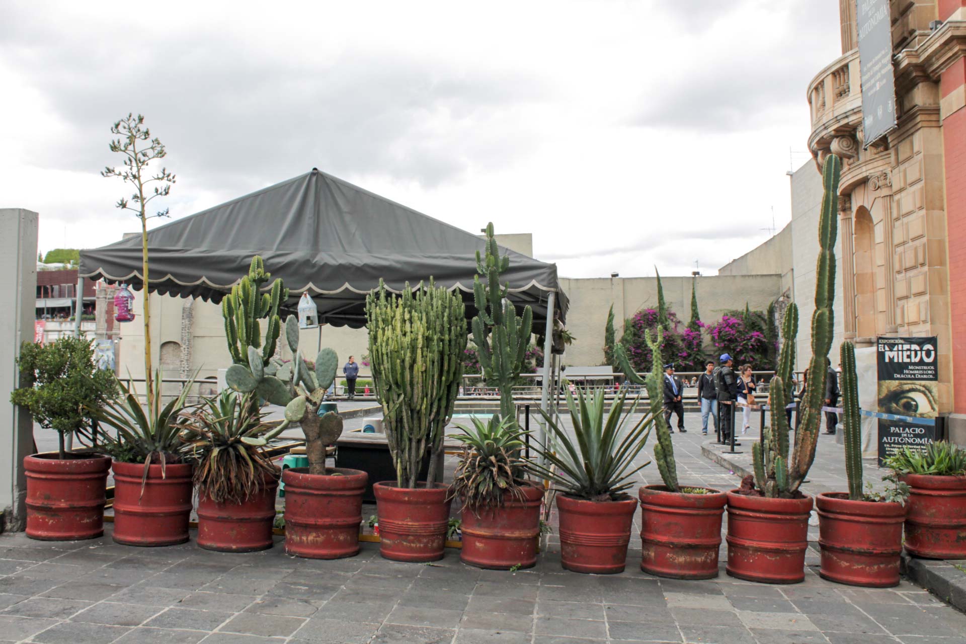 mexico city: día de los muertos, pyramids + xochimilco — STEPHANIE ECHE