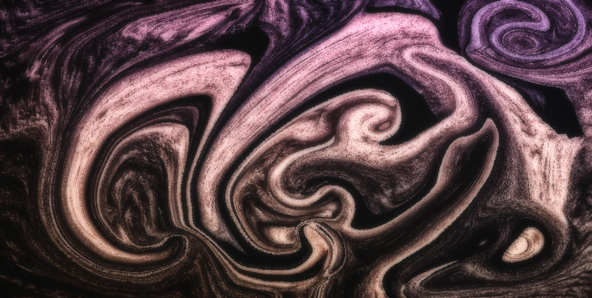 Maiva Smyth | Portfolio — Lane Cove Creative Photography