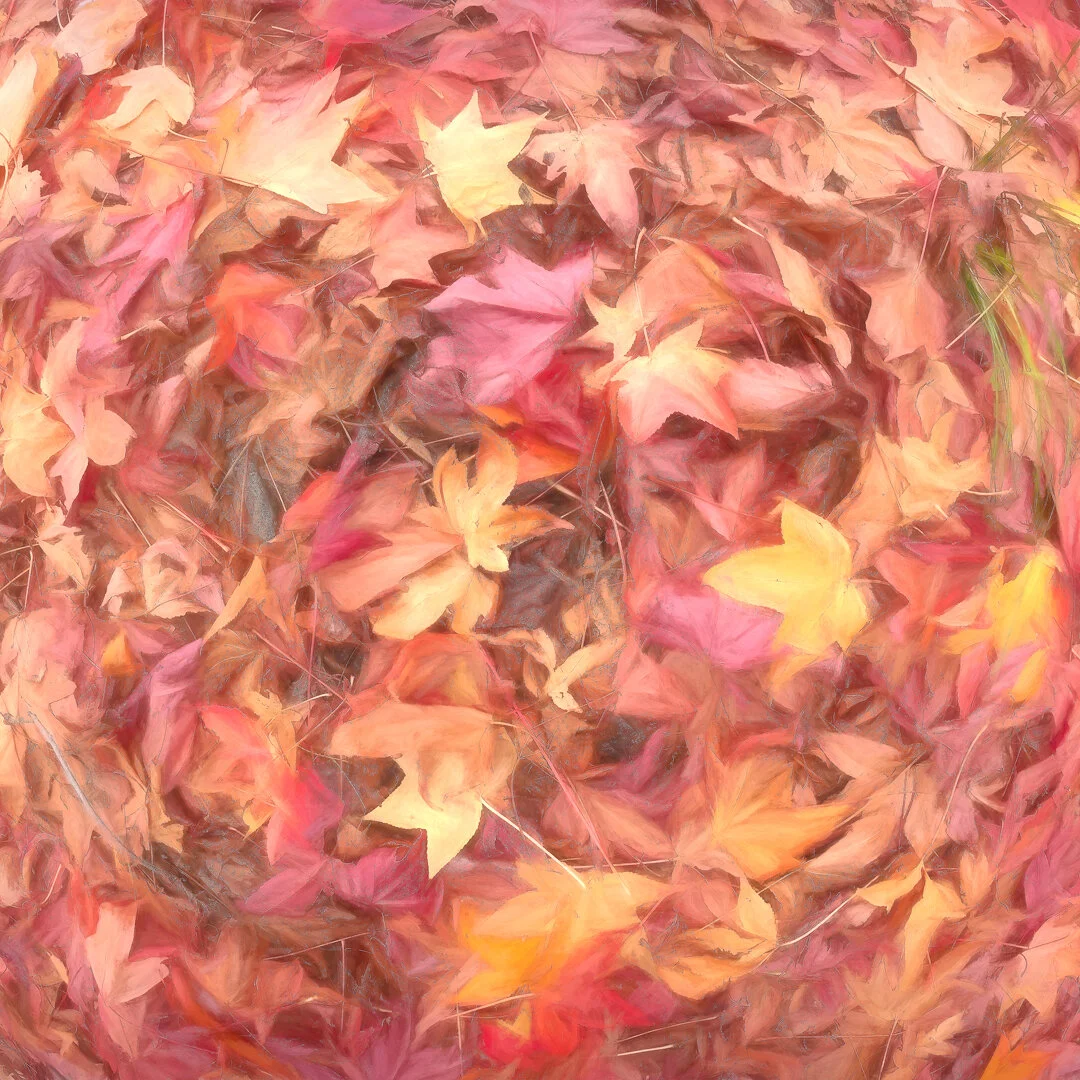 Simple Flash Presentation & Evaluation Night — Lane Cove Creative ...