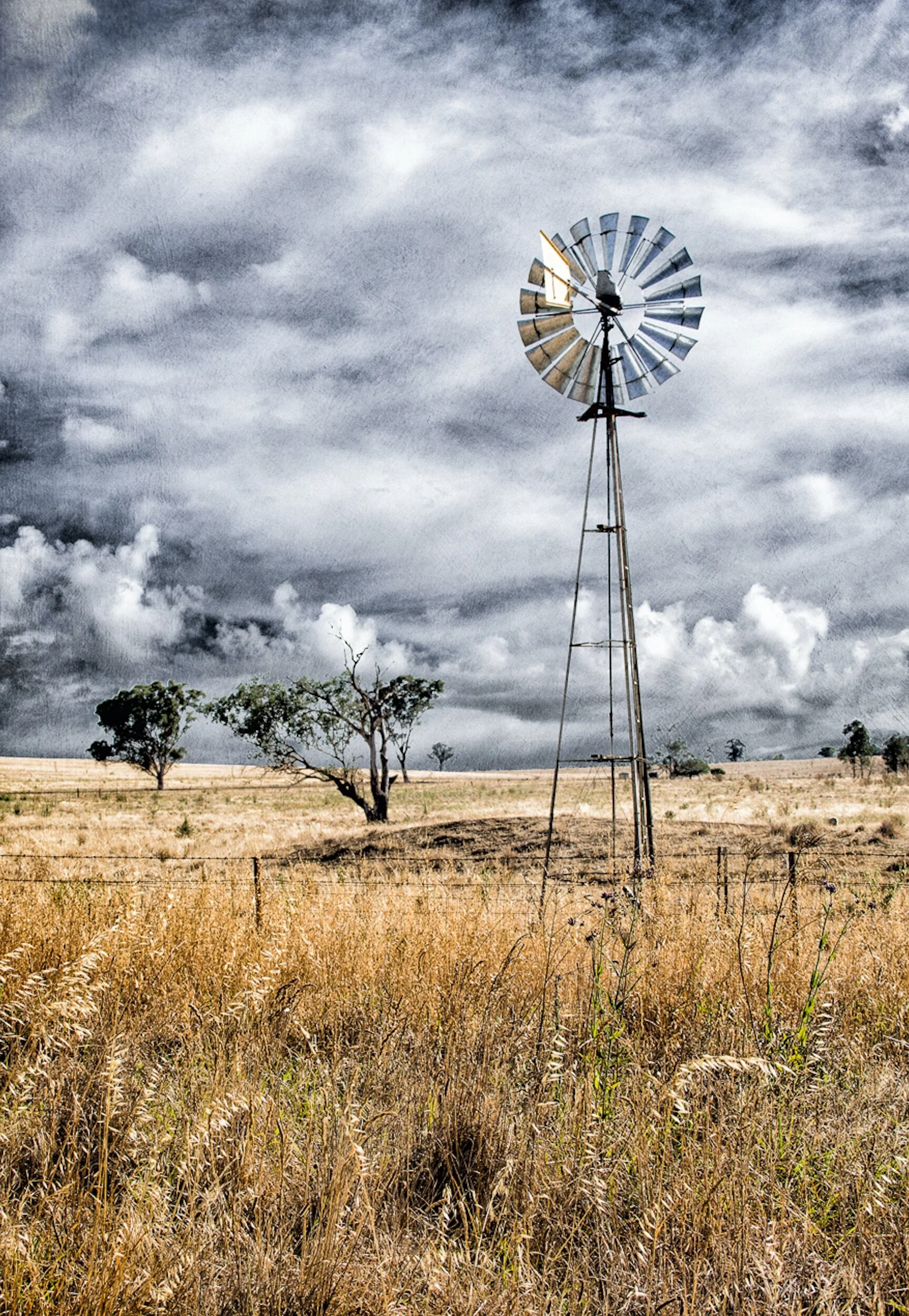 Portfolio — Lane Cove Creative Photography