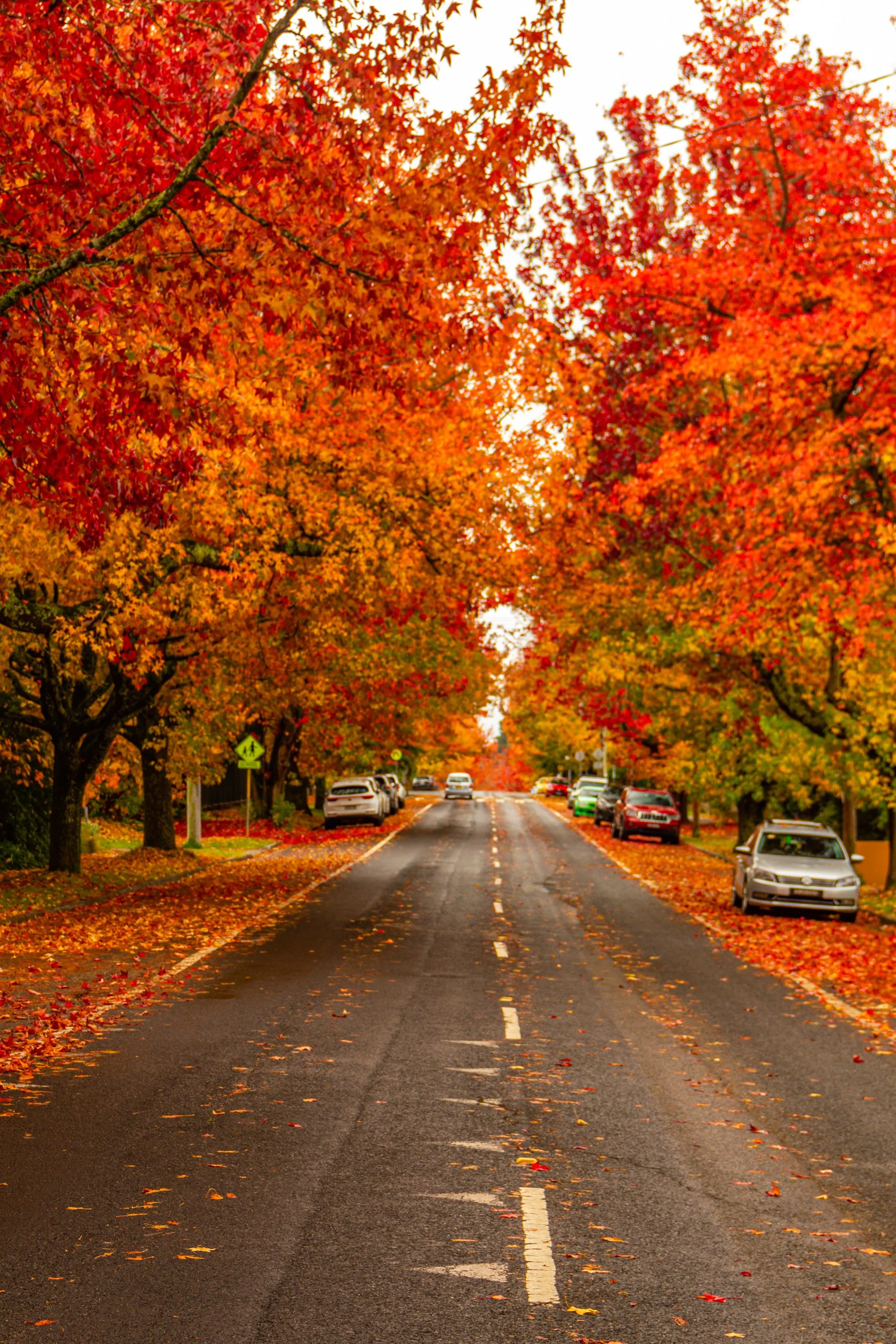 Tony Whitten | Portfolio — Lane Cove Creative Photography