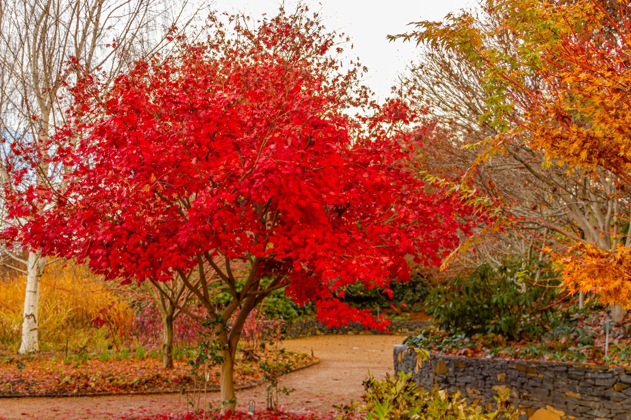 Tony Whitten | Portfolio — Lane Cove Creative Photography