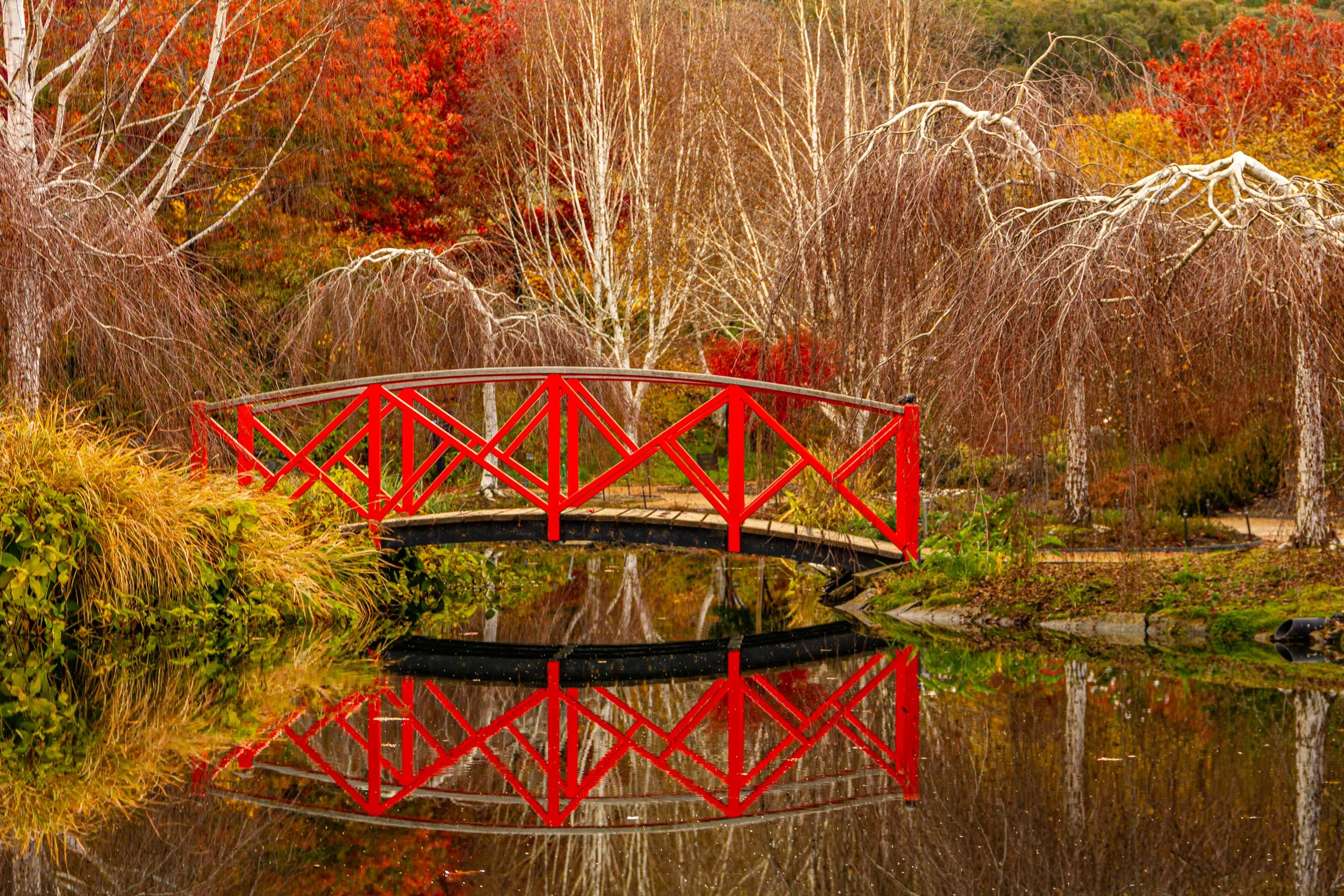 Tony Whitten | Portfolio — Lane Cove Creative Photography