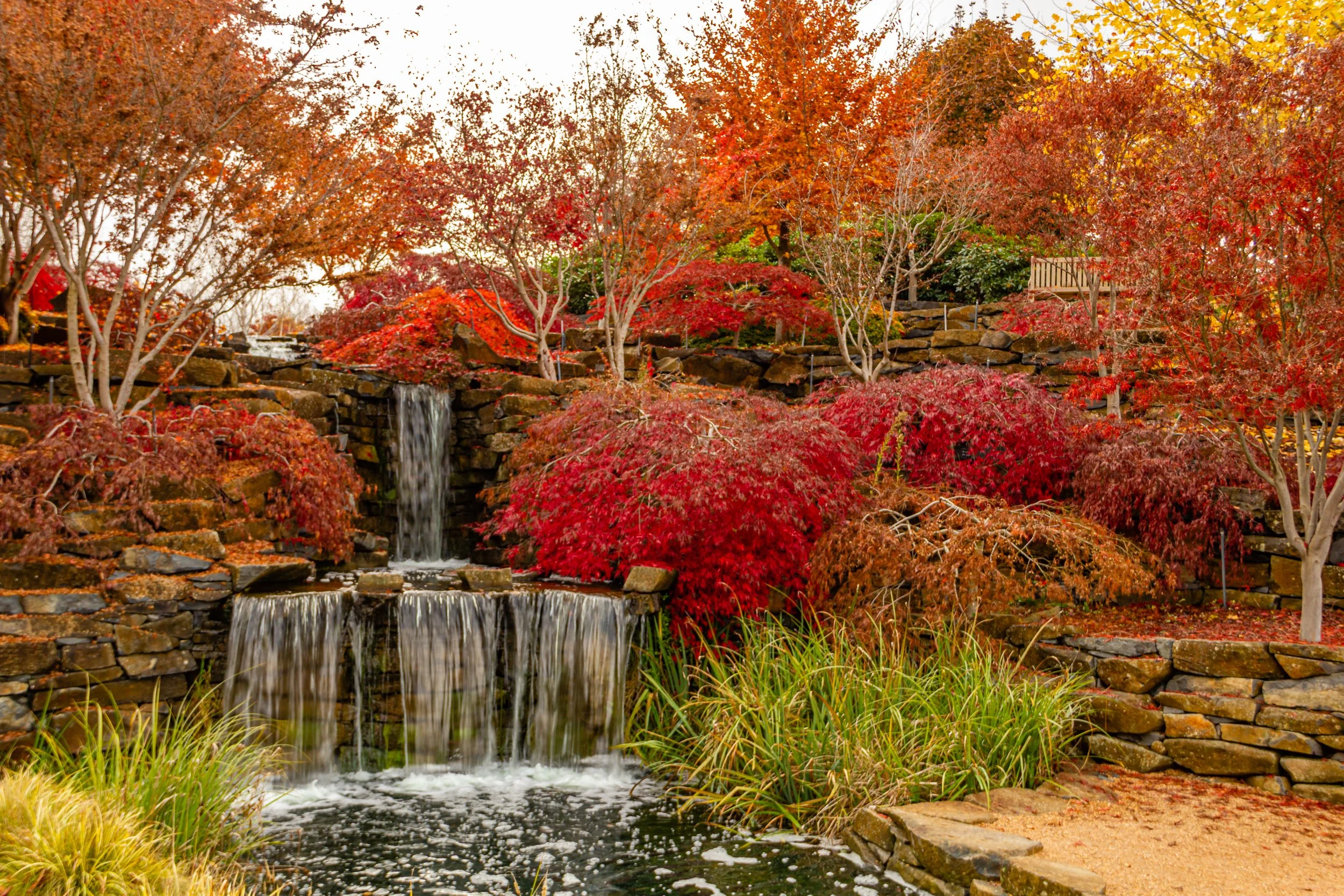 Tony Whitten | Portfolio — Lane Cove Creative Photography