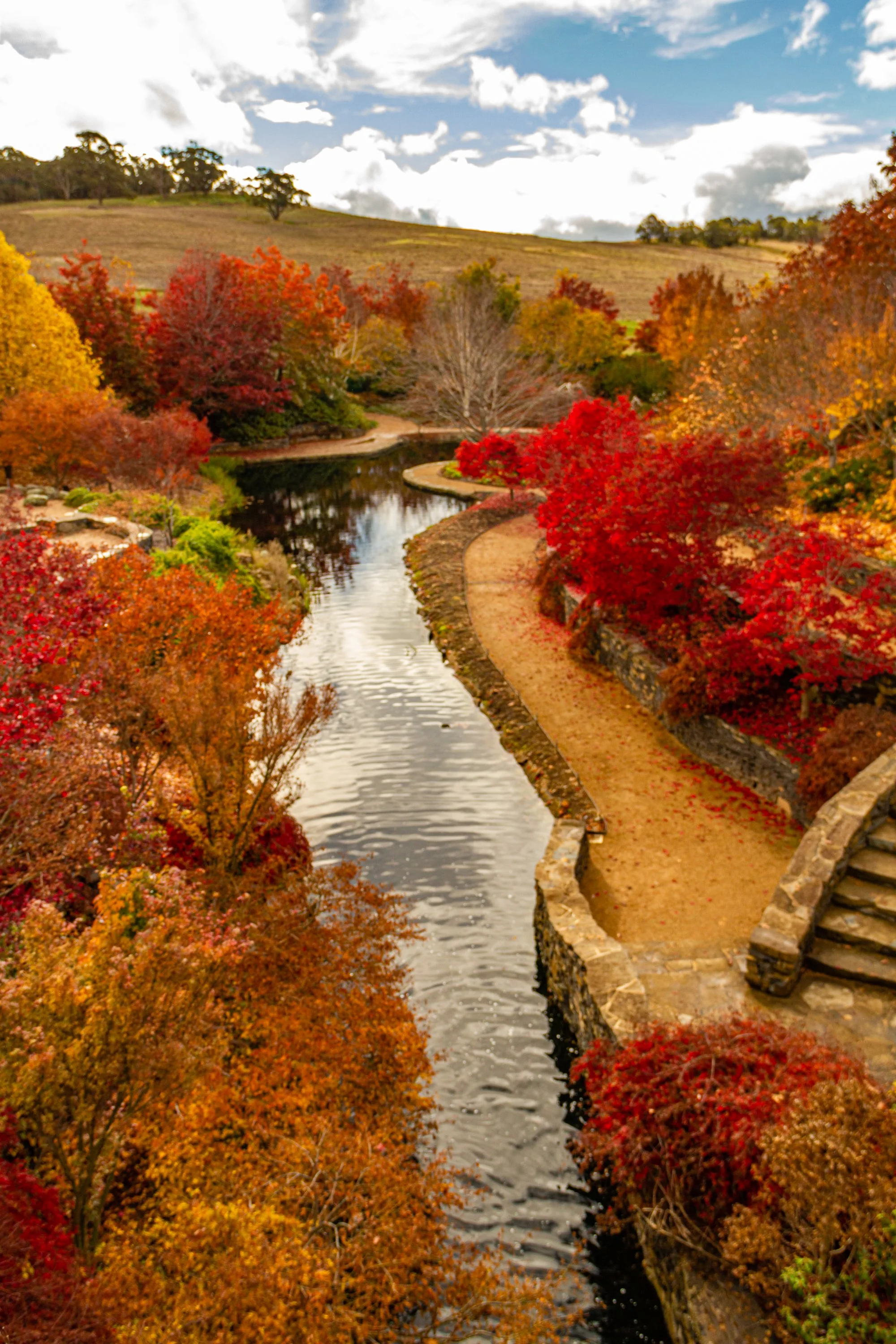 Tony Whitten | Portfolio — Lane Cove Creative Photography