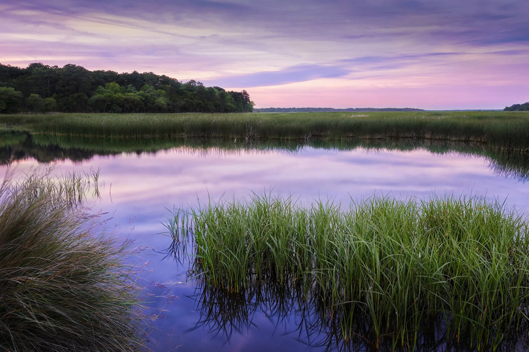 Charleston Photography Tours