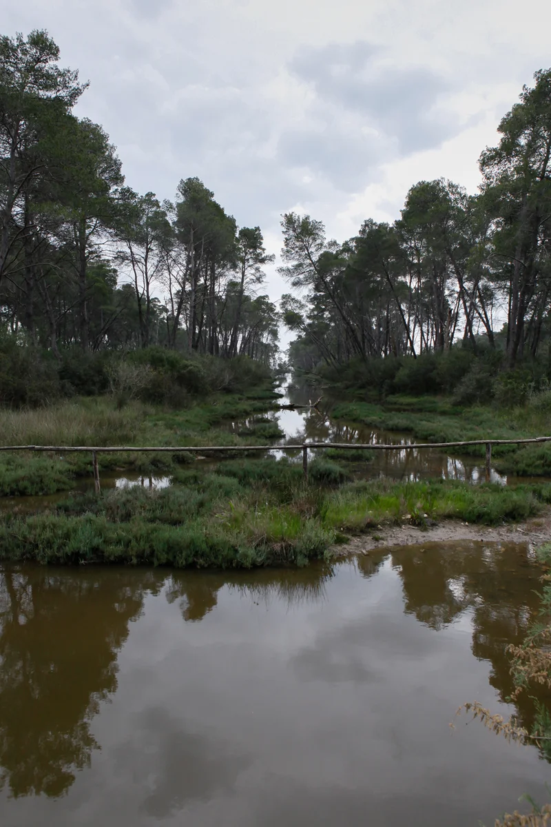 Karavasta Lagoon — Alketa Misja Photography