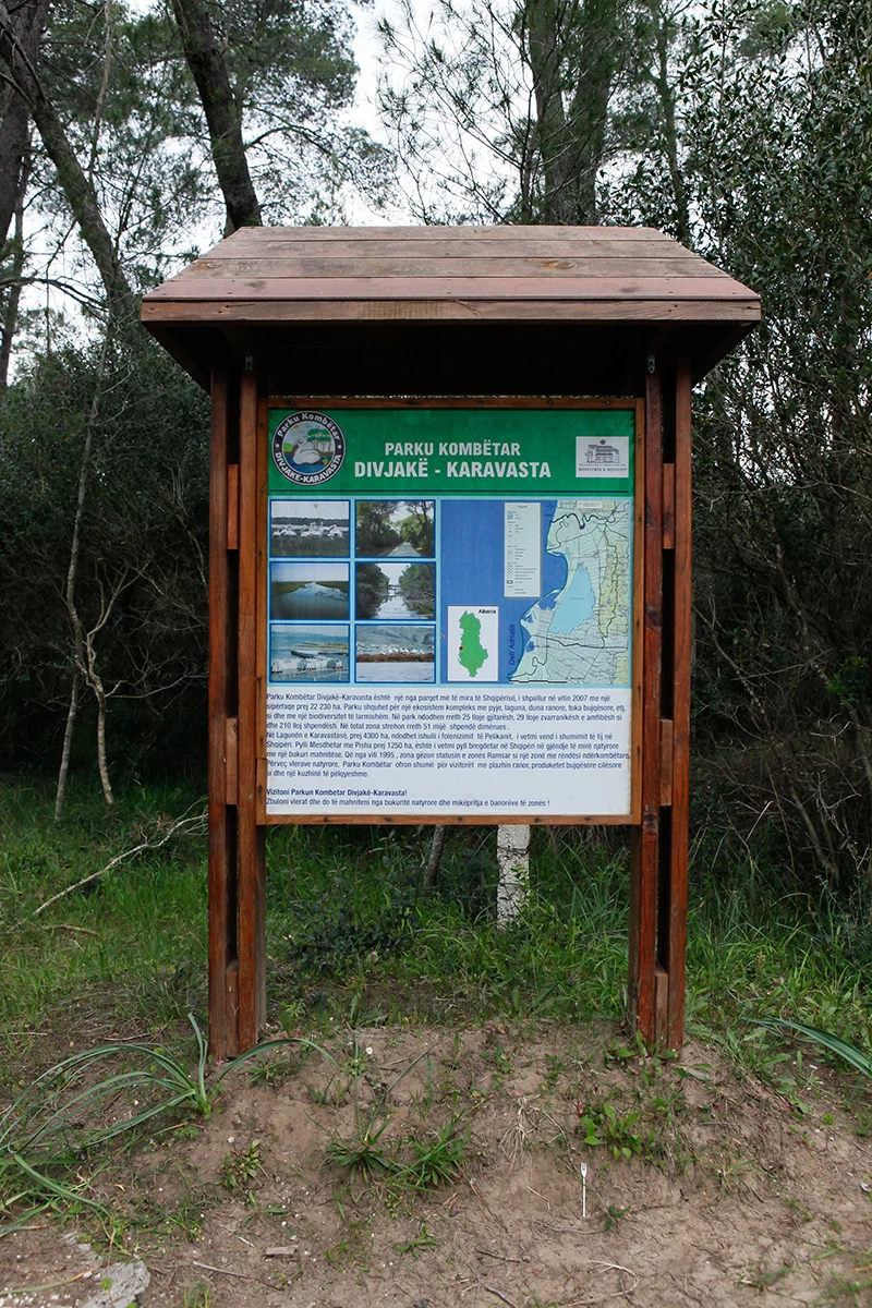 Karavasta Lagoon — Alketa Misja Photography