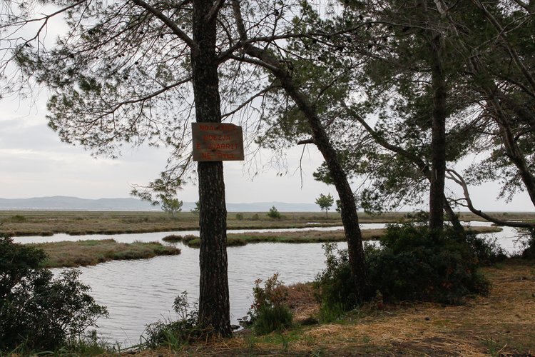 Karavasta Lagoon — Alketa Misja Photography