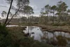 Karavasta Lagoon — Alketa Misja Photography