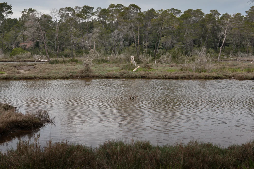 Karavasta Lagoon — Alketa Misja Photography
