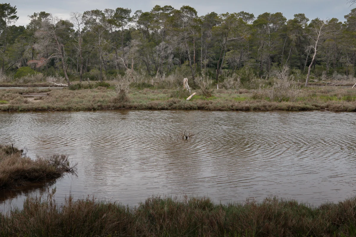 Karavasta Lagoon — Alketa Misja Photography