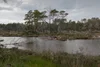 Karavasta Lagoon — Alketa Misja Photography