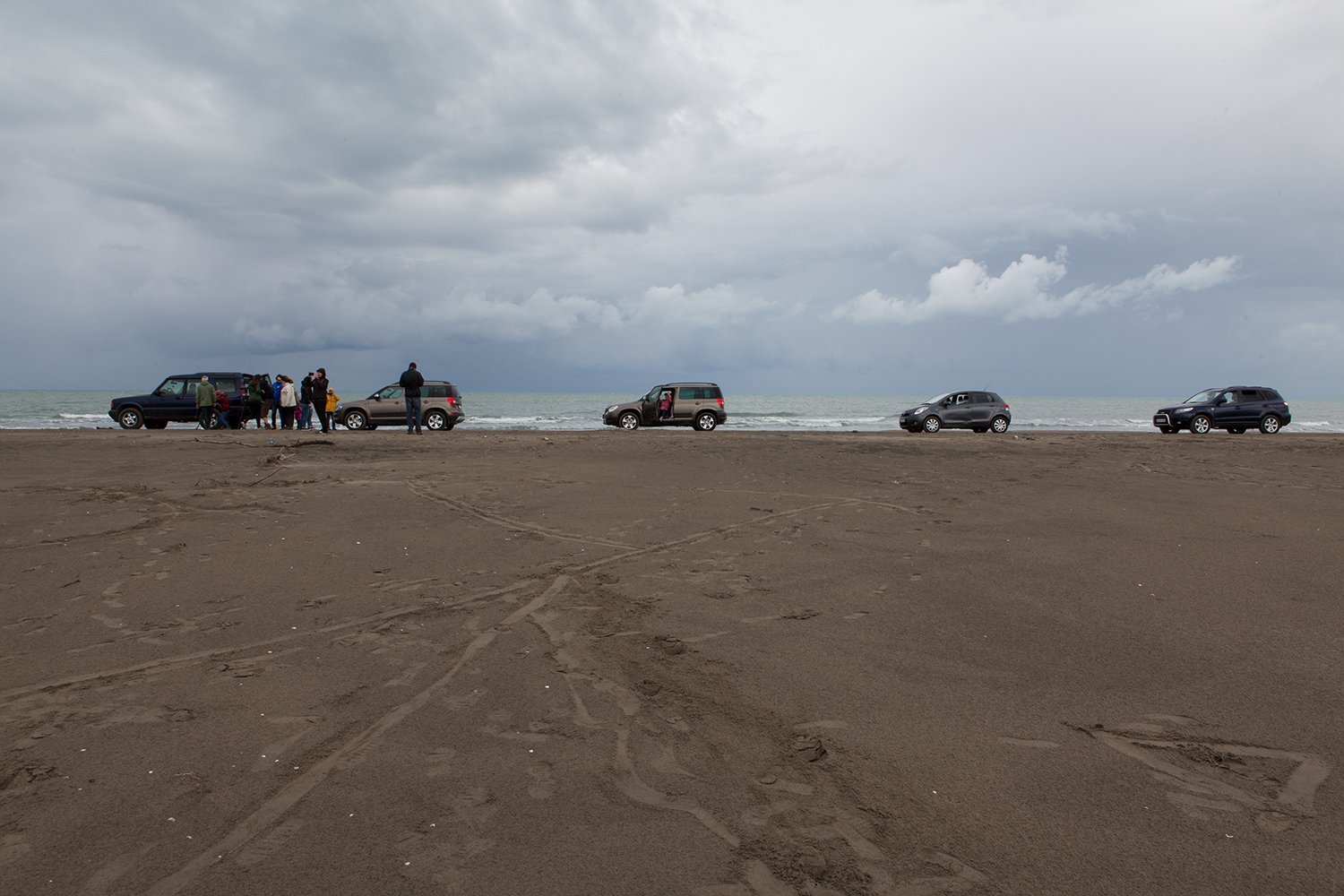 Divjaka Park and Narta Salinas — Alketa Misja Photography