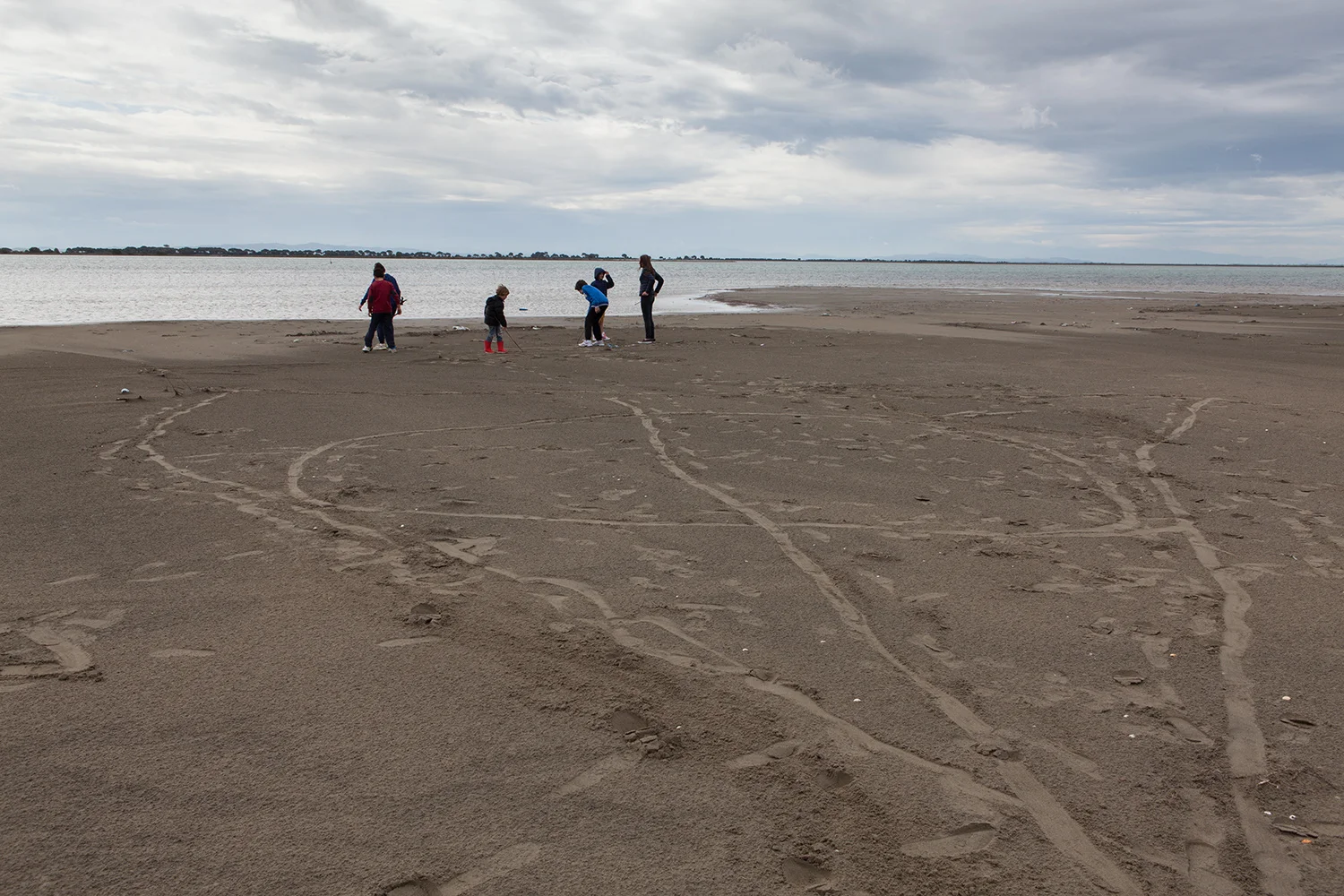 Divjaka Park and Narta Salinas — Alketa Misja Photography