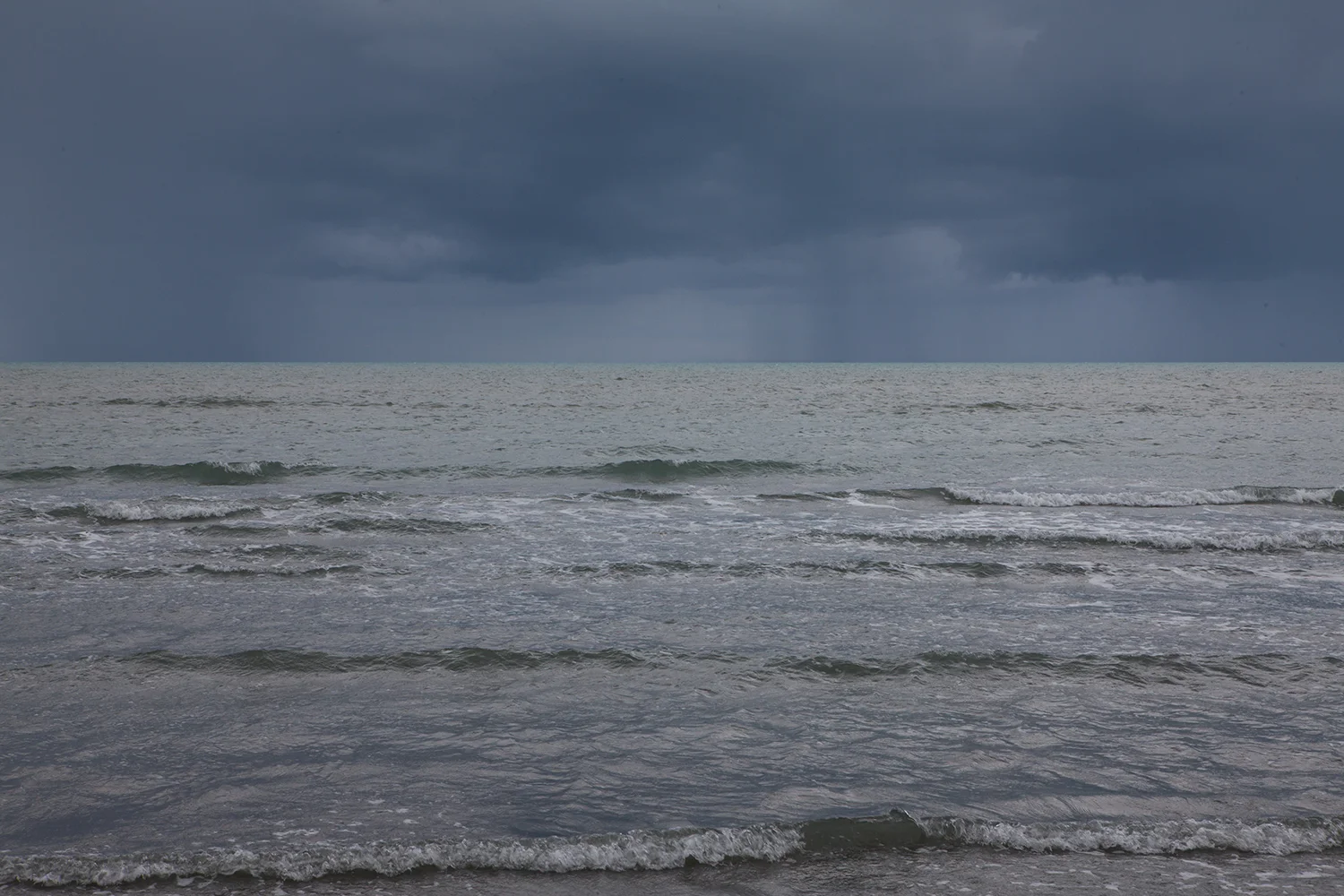 Divjaka Park and Narta Salinas — Alketa Misja Photography