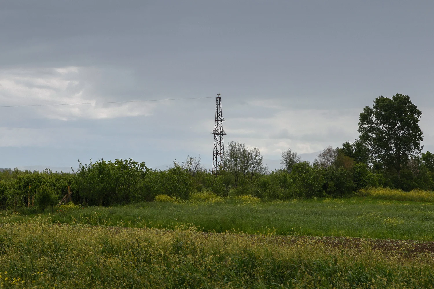 Divjaka Park and Narta Salinas — Alketa Misja Photography