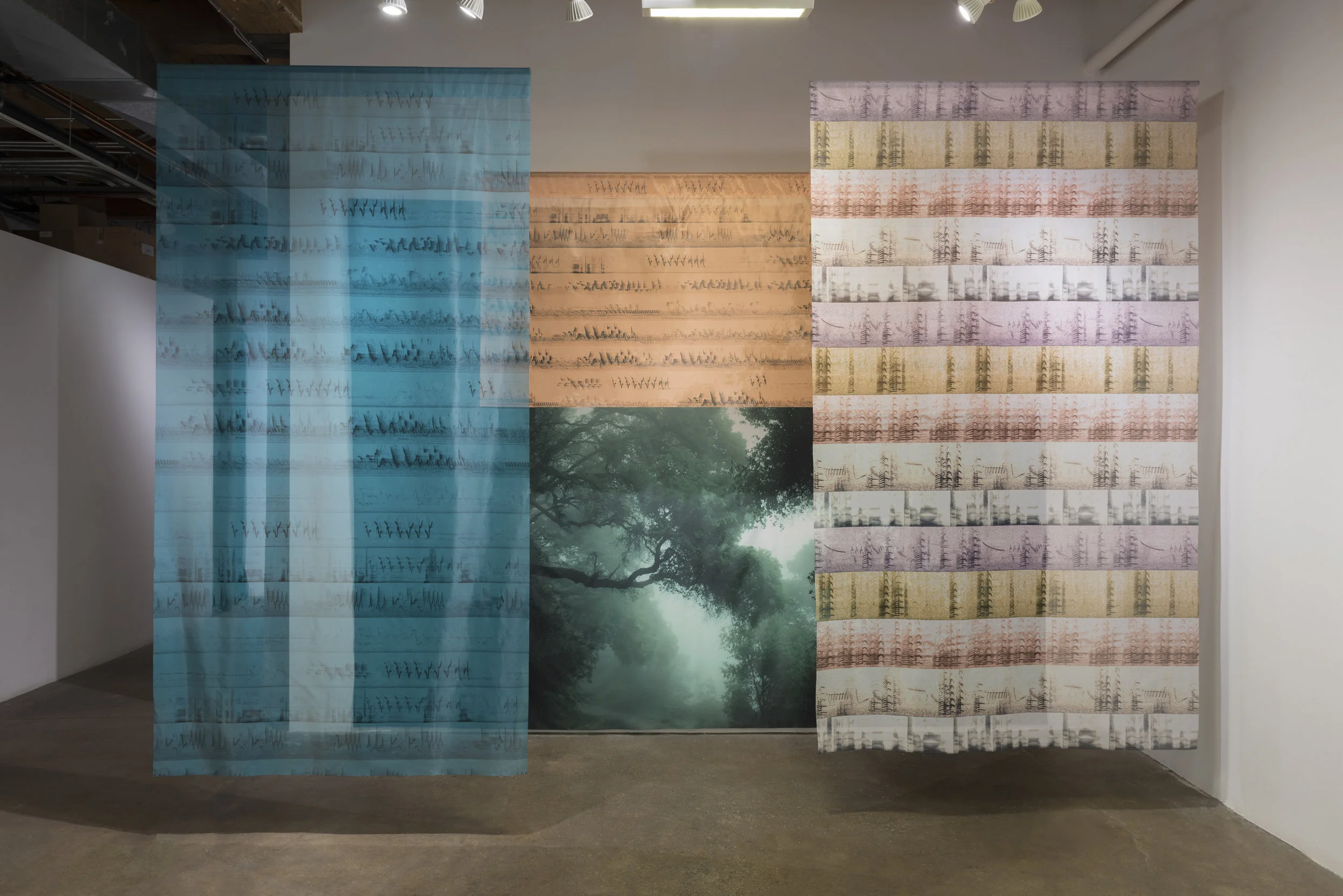 INSTALLATIONS (1997 - 2022) — ALICE Q. HARGRAVE