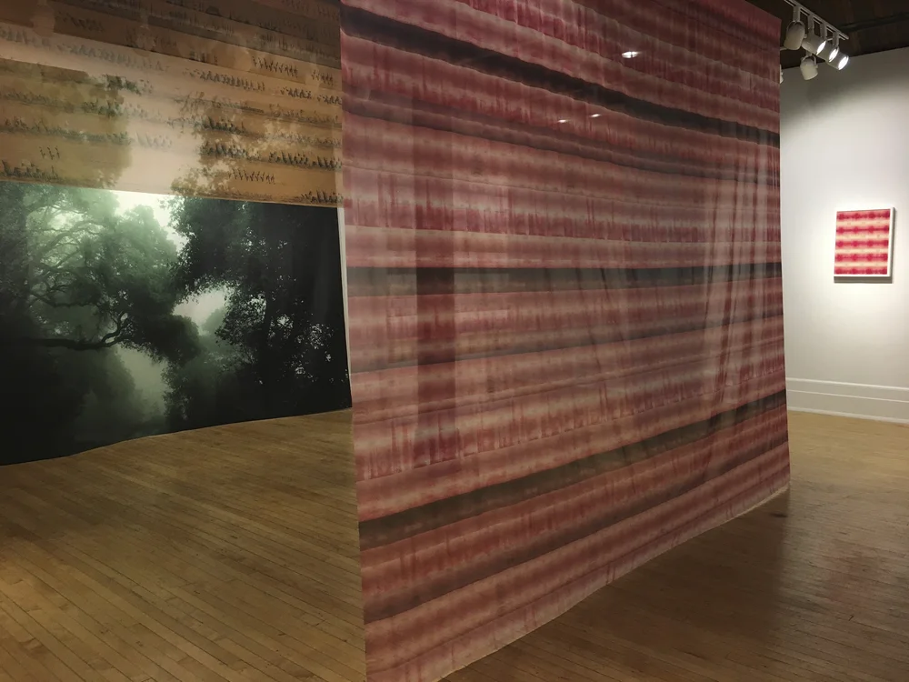 INSTALLATIONS (1997 - 2025) — ALICE Q. HARGRAVE